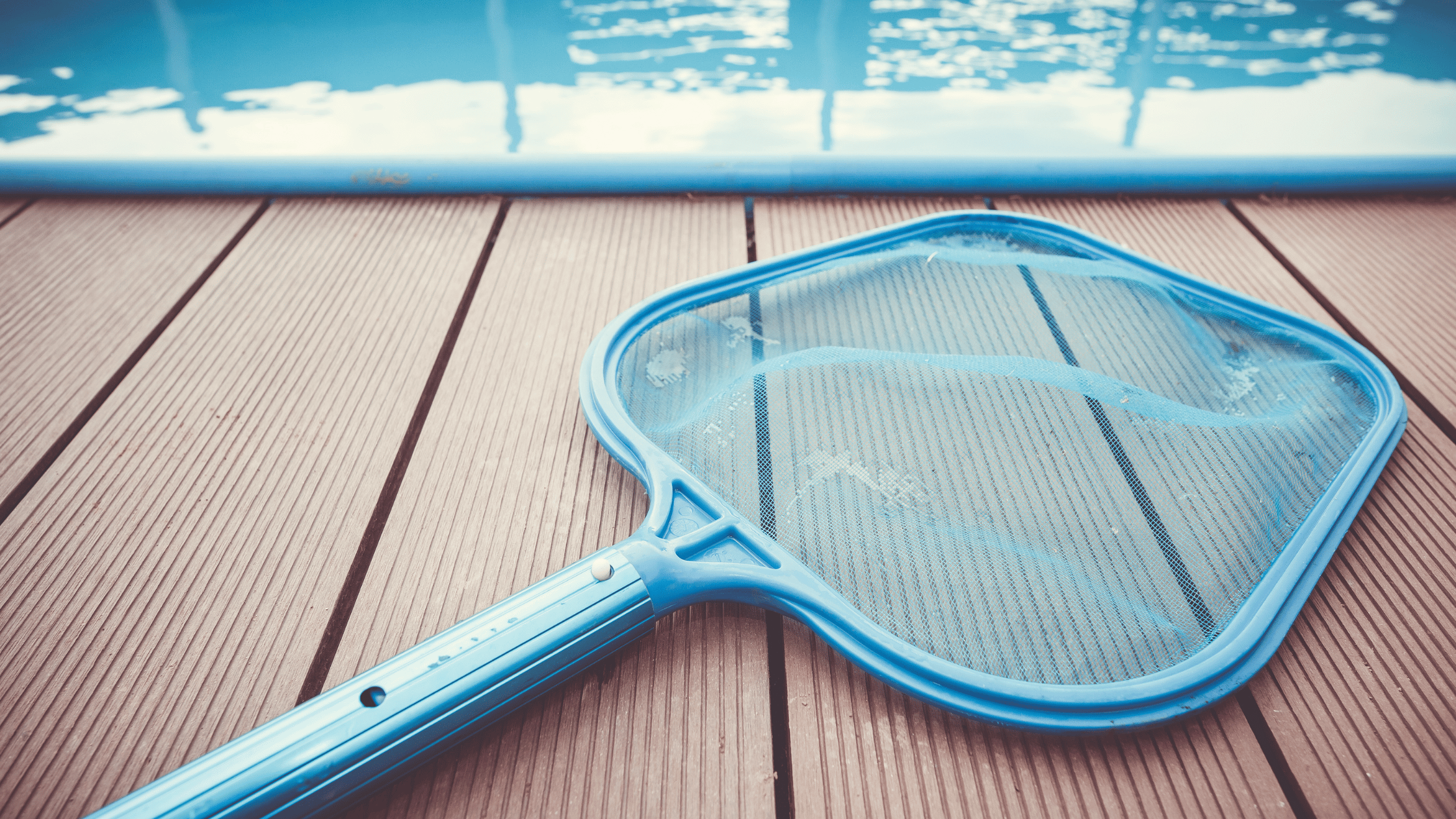 DIY Pool Maintenance: What You Can Do Yourself vs. When to Call a Pro ...